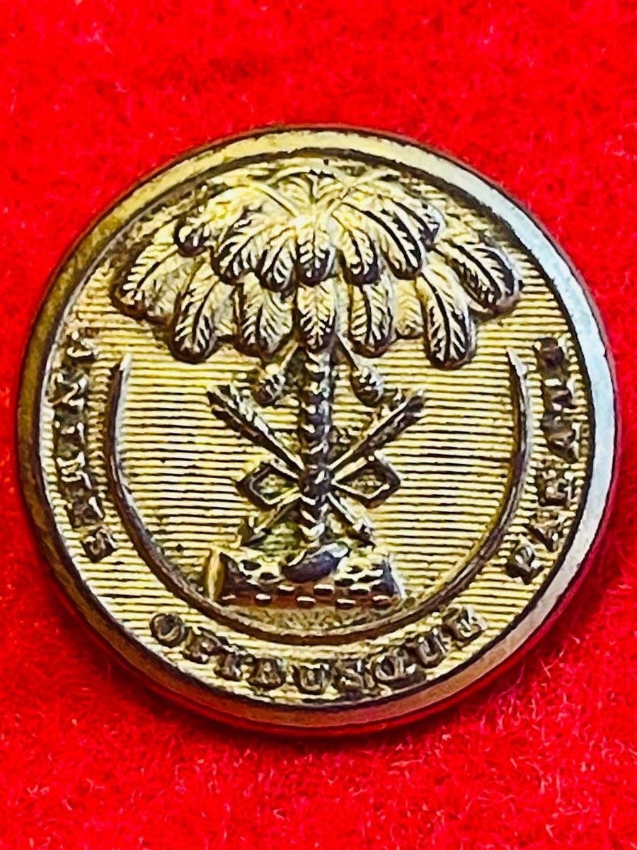 YEEEEEHAAAAW!!! BEYOND RARE BLINDING DUG SOUTH CAROLINA MILITIA COAT ...