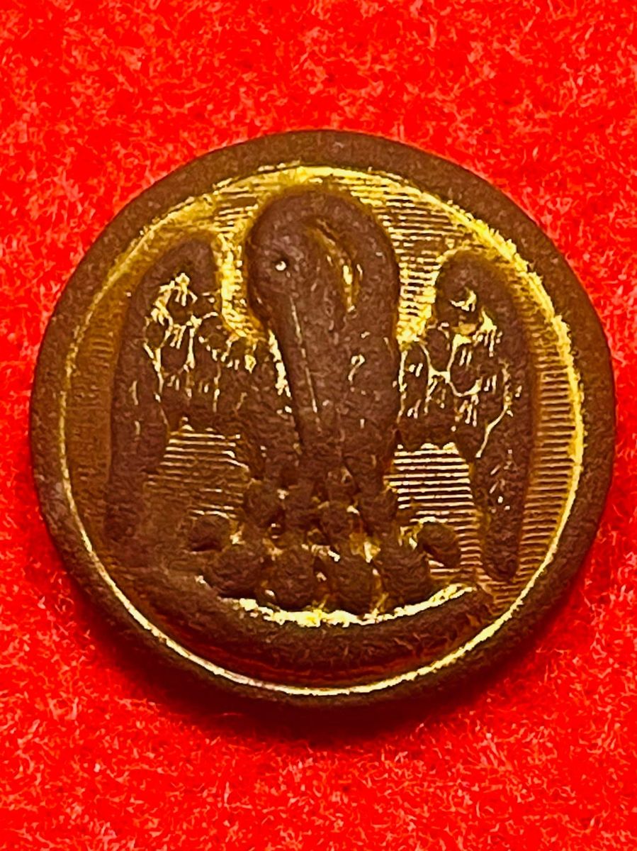 SPECTACULAR BLINDING LOUISIANA LOCAL COAT BUTTON (LA 8) WITH OVER 75 % ...