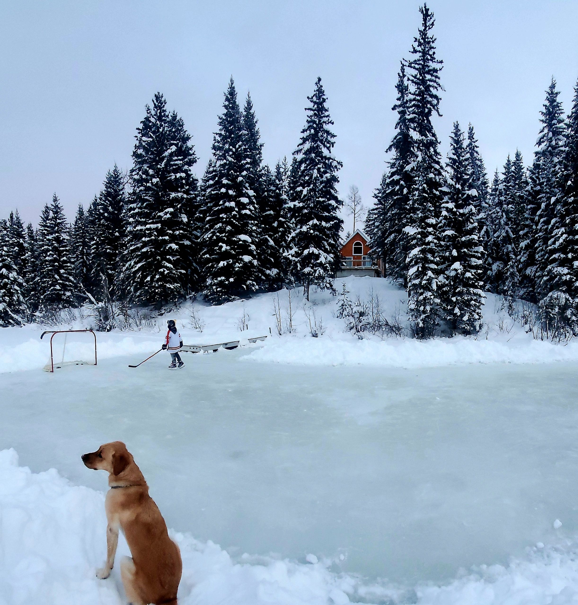 Lucky Strike RV camps LTD - Cabins Bridge Lake, RV Camping