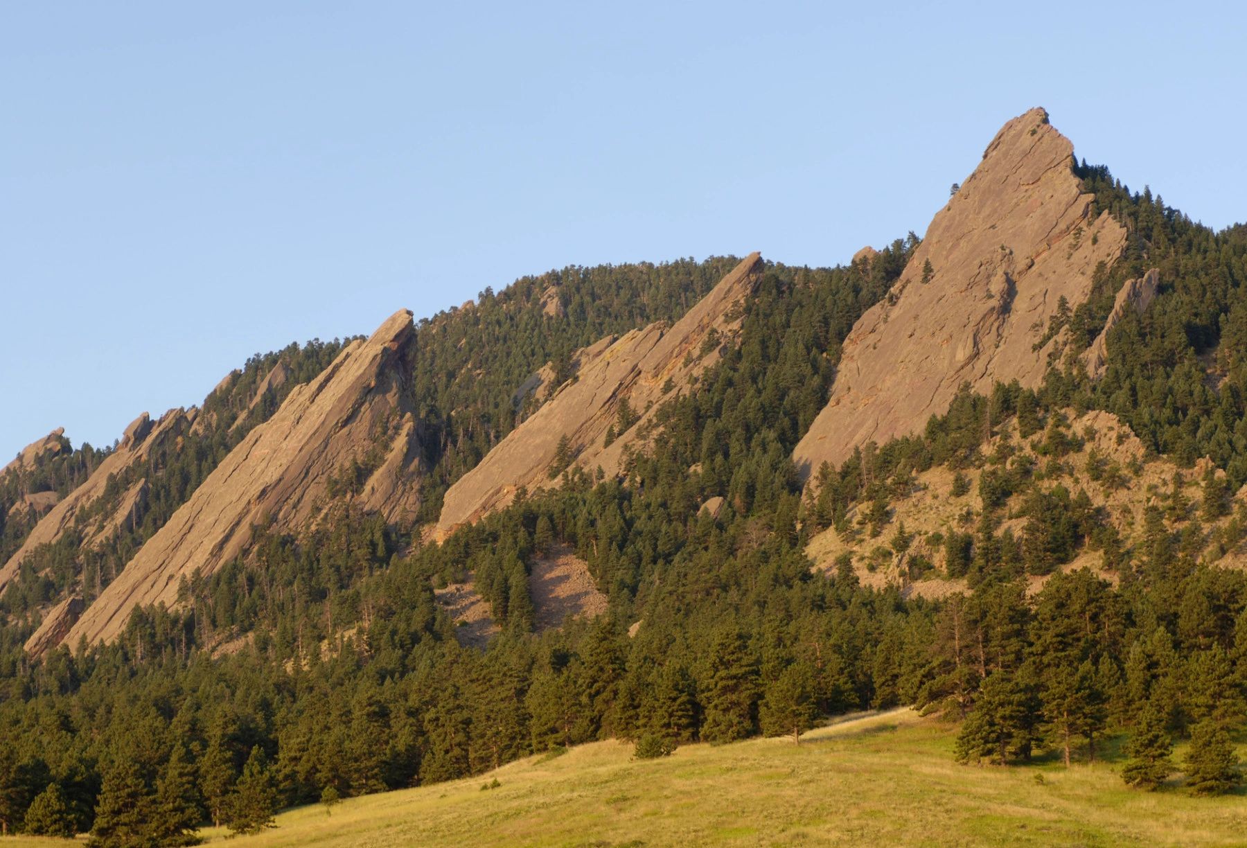 SAE - University of Colorado, Boulder - Sigma Alpha Epsilon