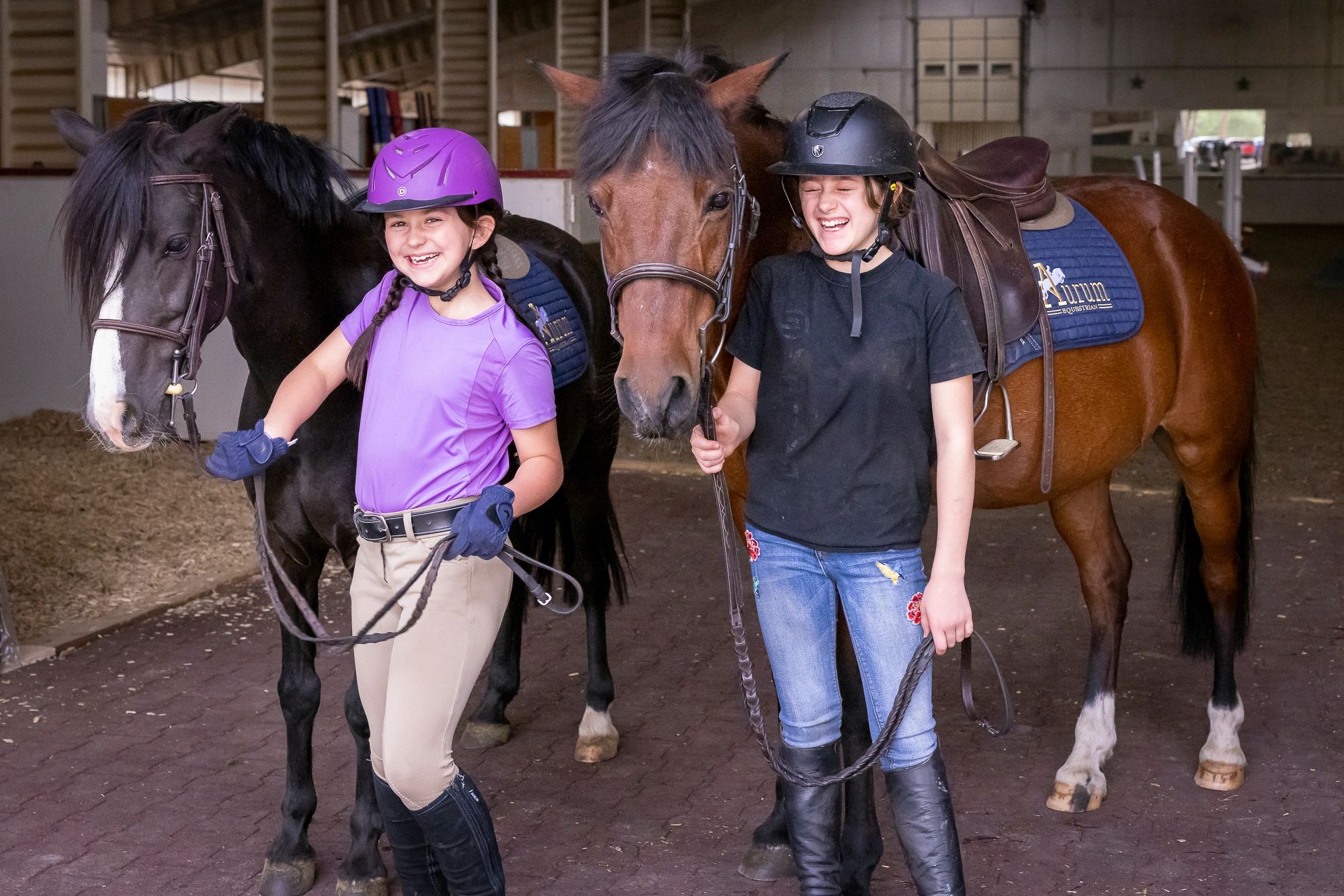 Aurum Equestrian - Riding Lessons, Equestrian, Riding School