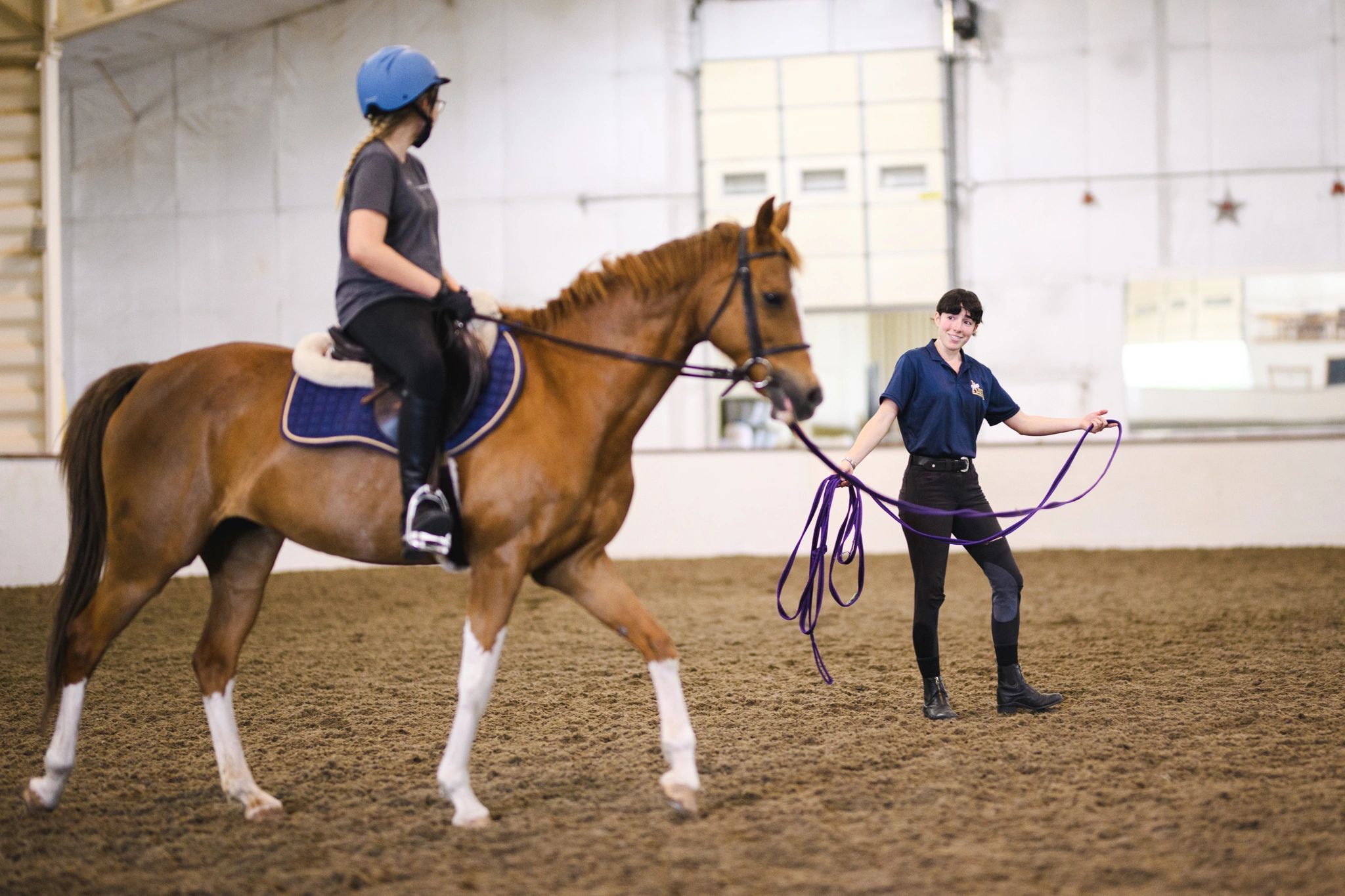 Aurum Equestrian - Riding Lessons, Equestrian, Riding School