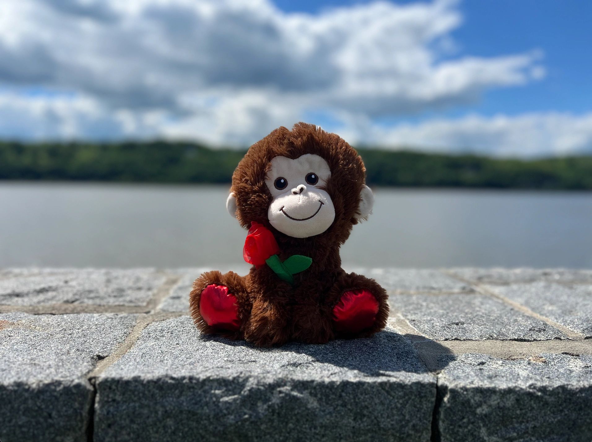 Monkey Boy Brand