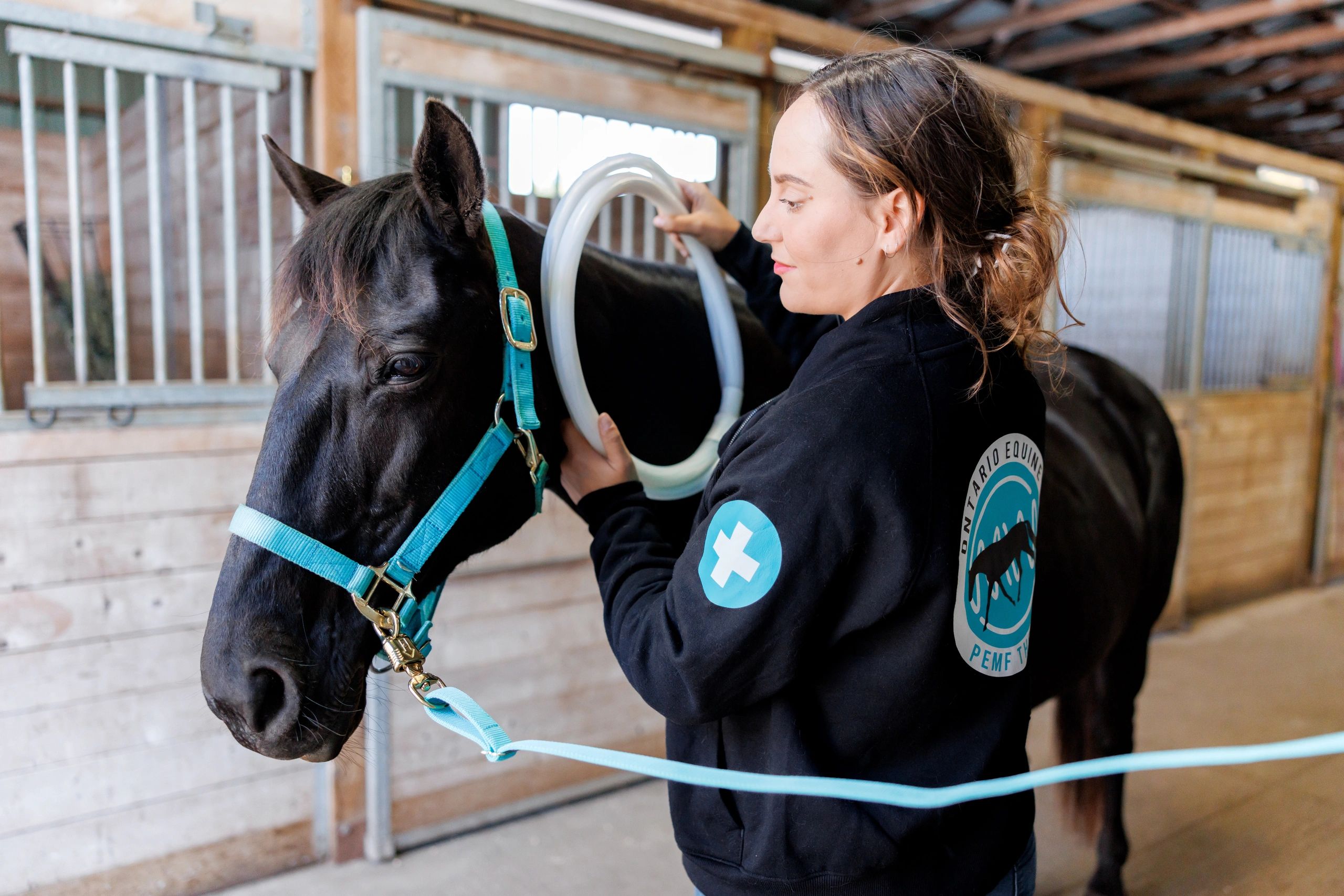 Ontario Equine PEMF Therapy