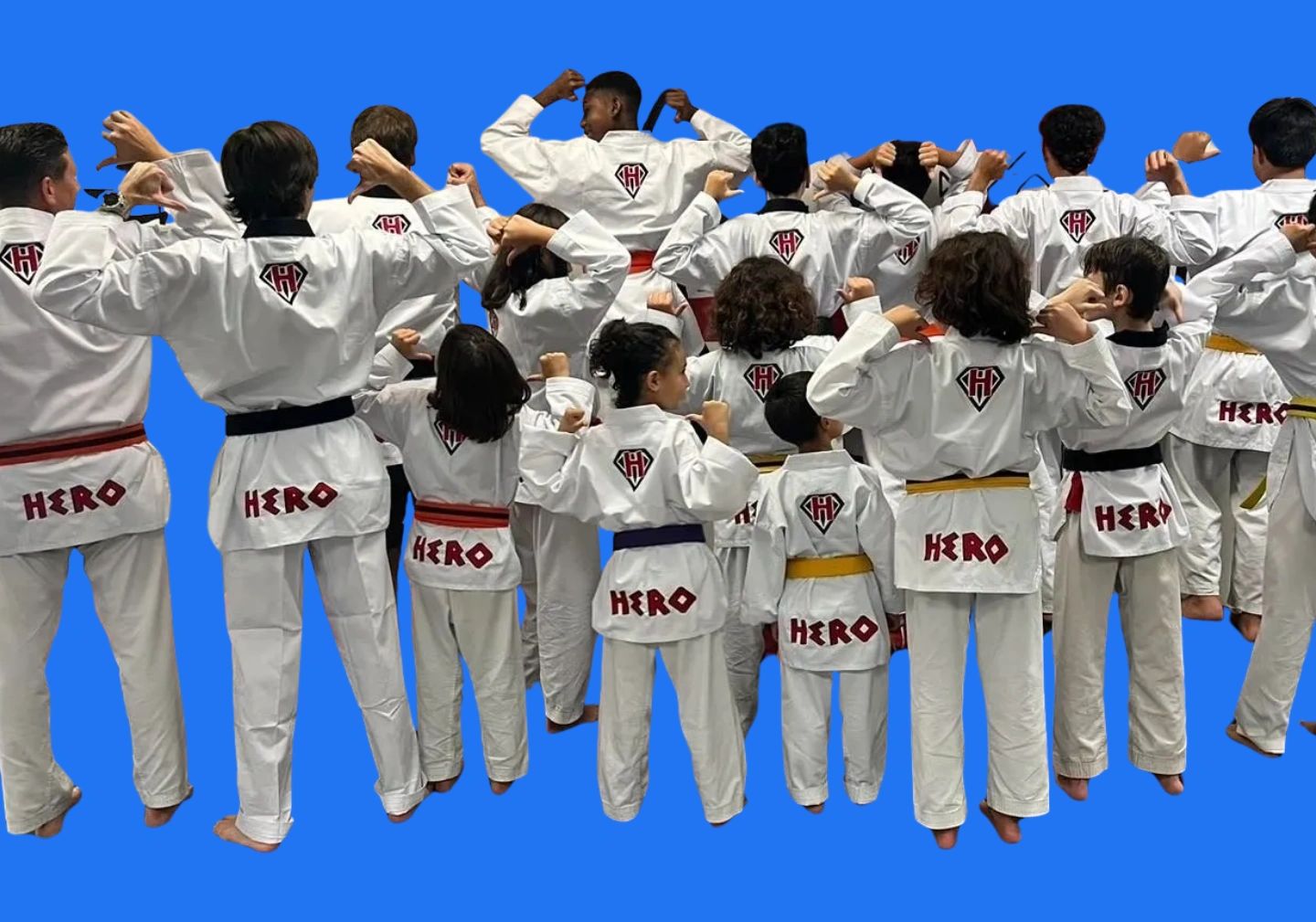 Hero Martial Arts - Martial Arts, Taekwondo, Classes for Kids