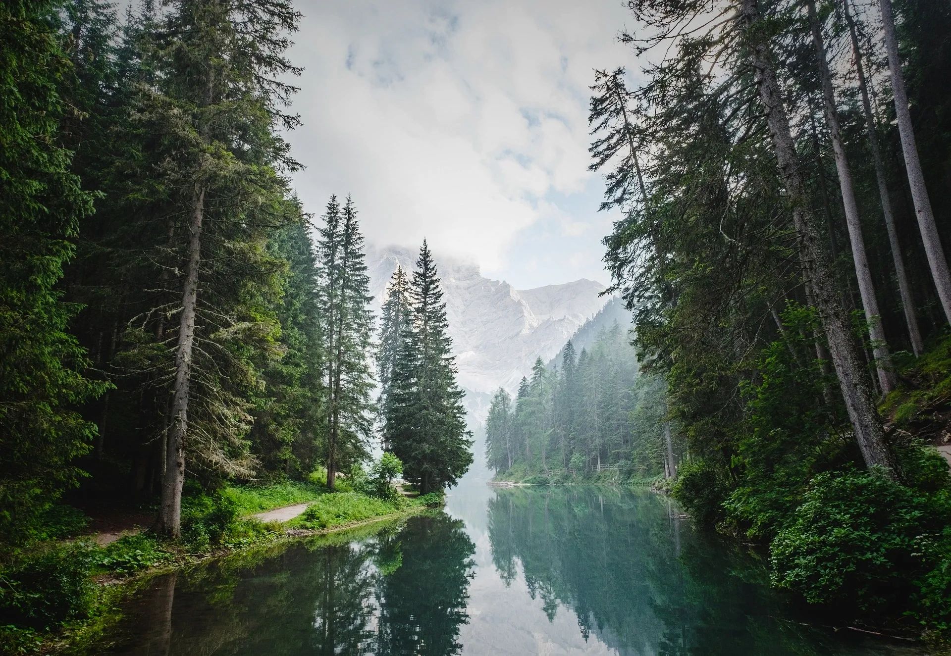 Mark Abelson Psychotherapy