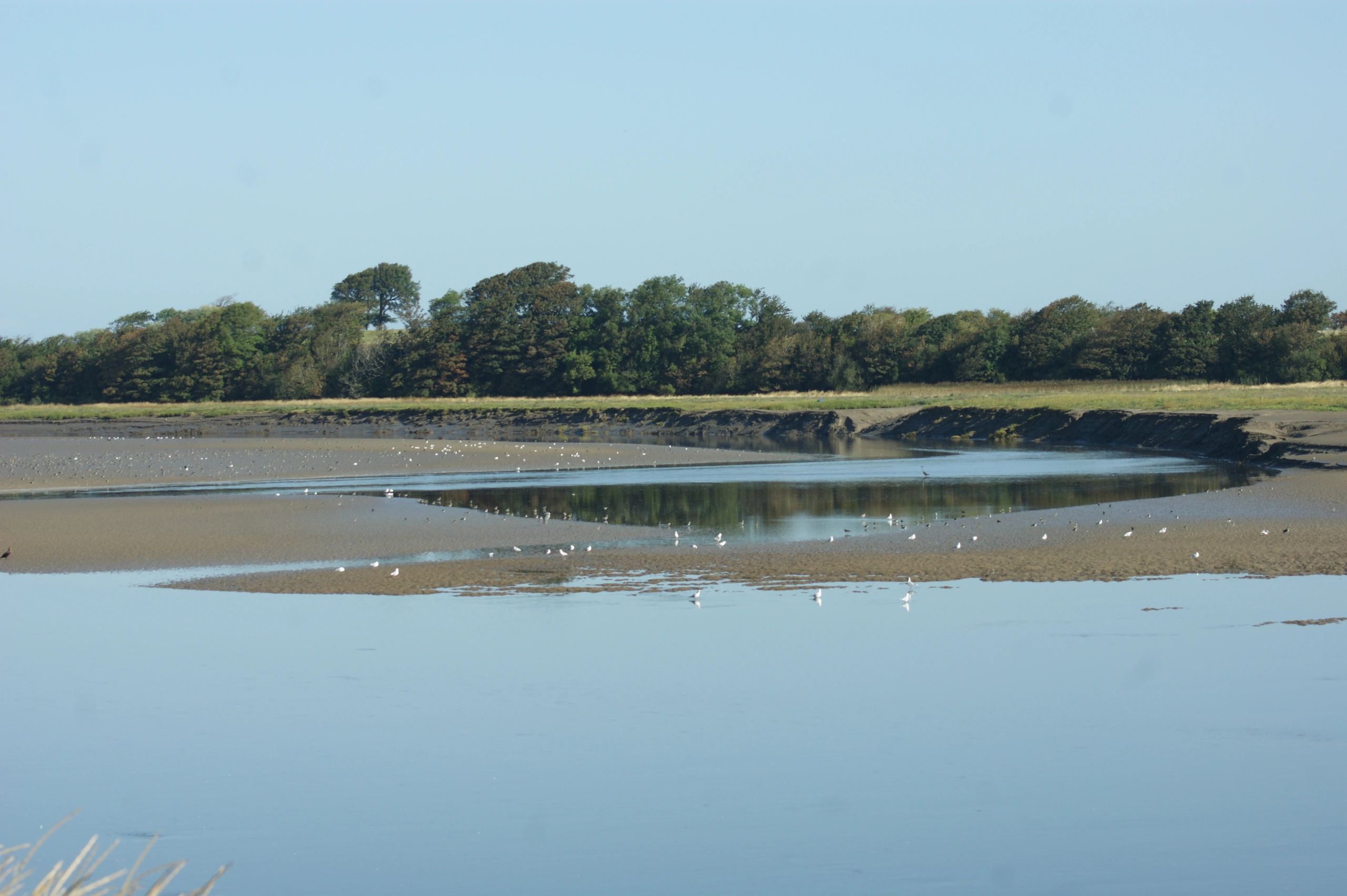 The Wyre Catchment | Wyre Rivers Trust