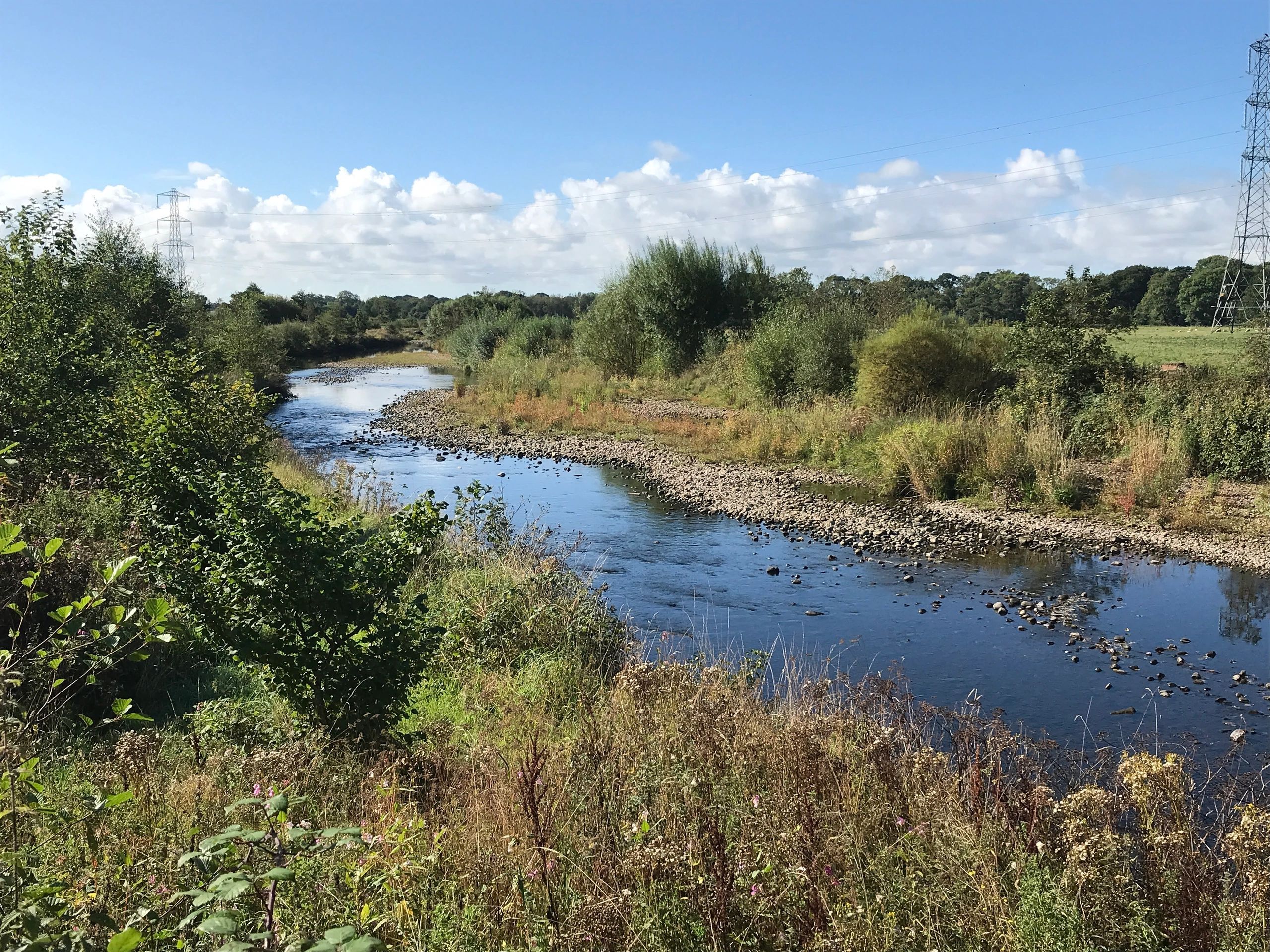 Wyre Rivers Trust
