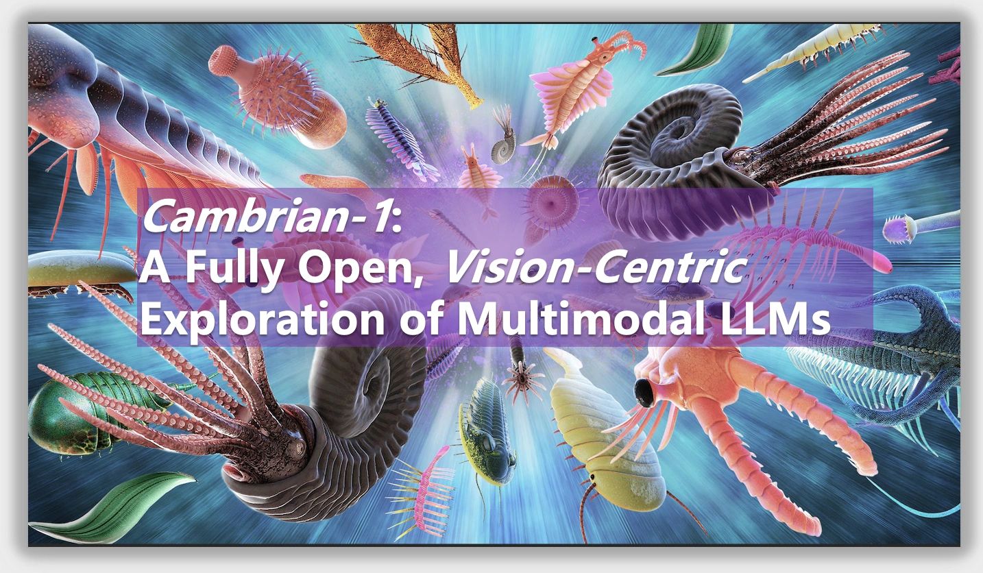 Meet Cambrian-1