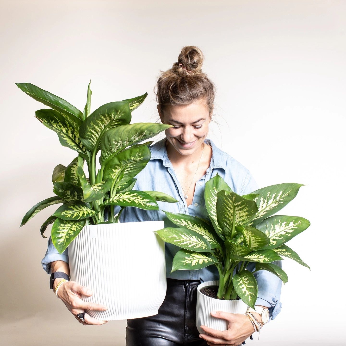 Plants by Post