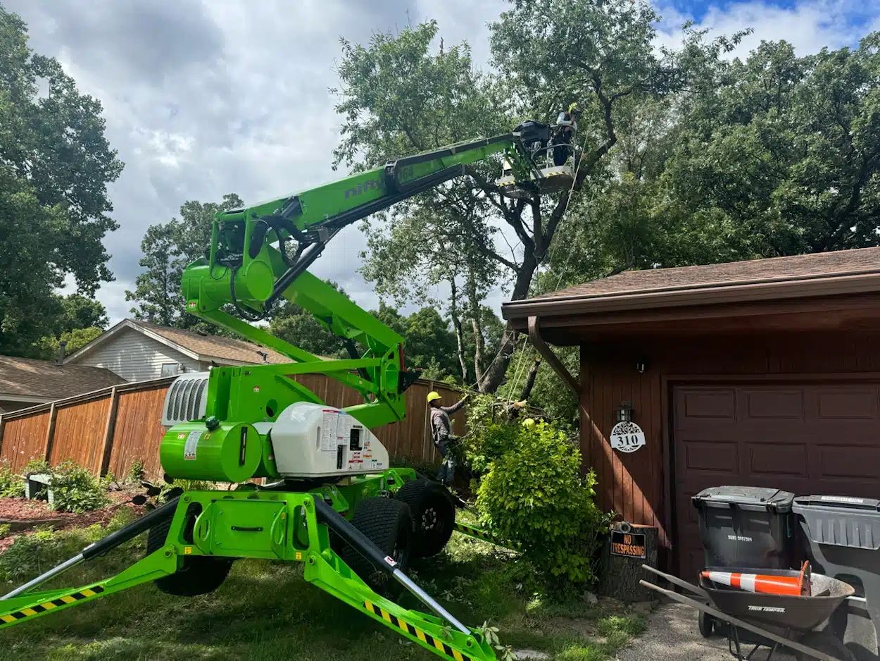 Absolute Tree Service, part of Easy Tree Service