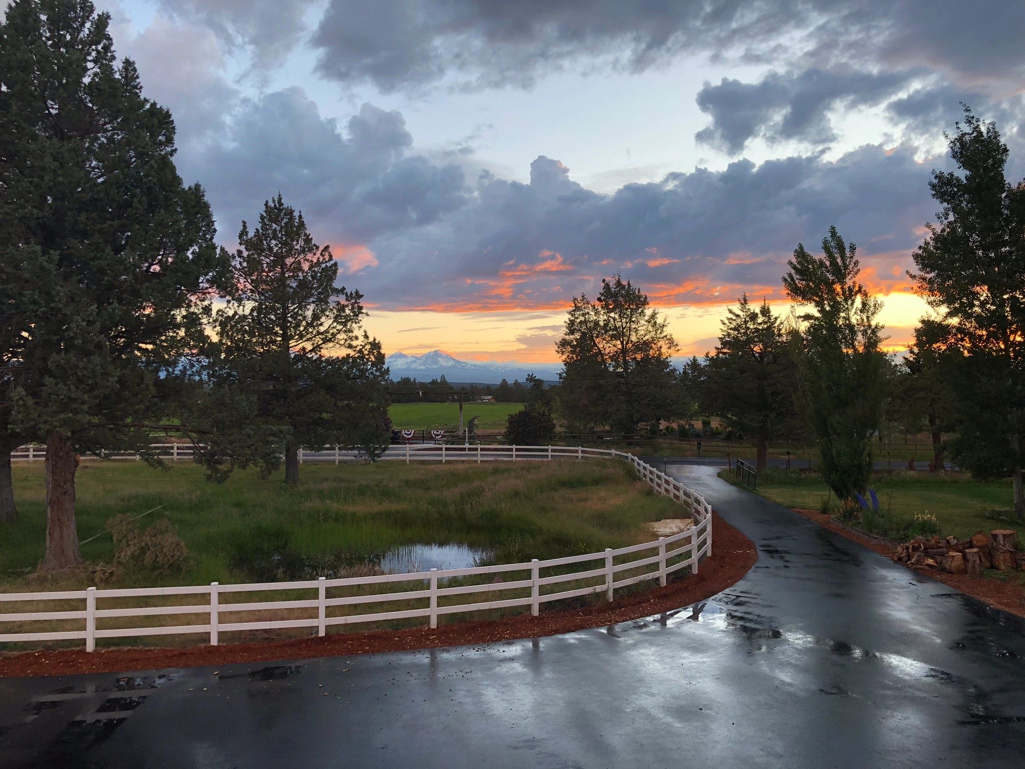 Putnam Farm Rottweilers