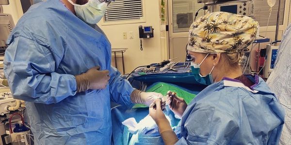 Jennifer Murdock MD | Oculofacial Plastic Surgeon Miami