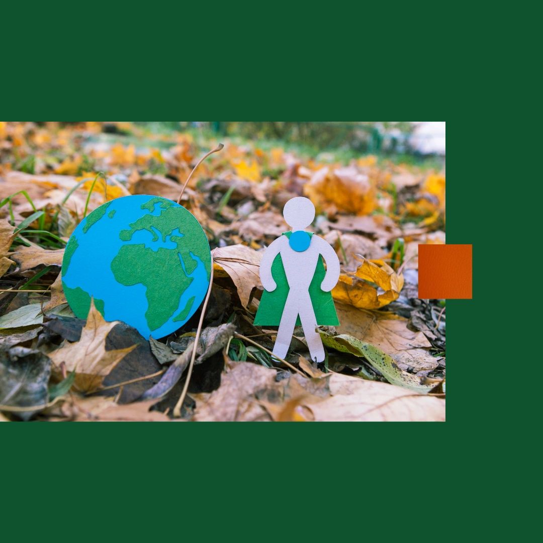 Brief History of Environmentalism