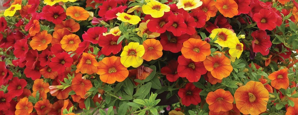 Home And Garden Red Barn Mercantile