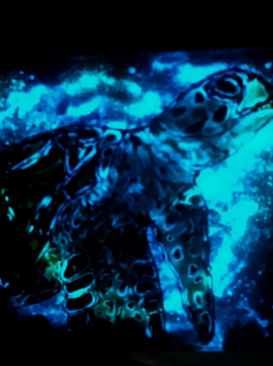 The Girl with glass paws