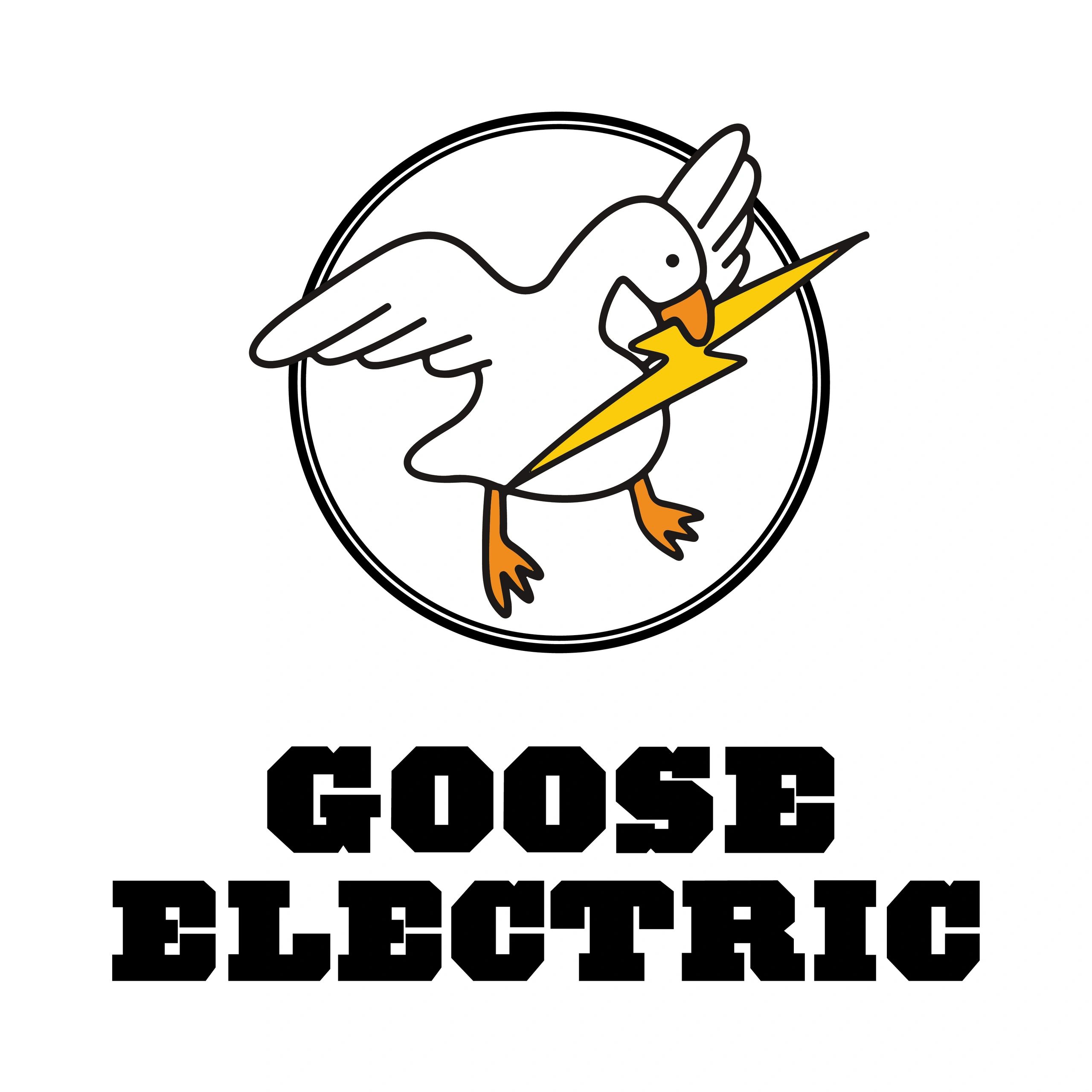 Mosgiel Dunedin Electrician - Goose Electric