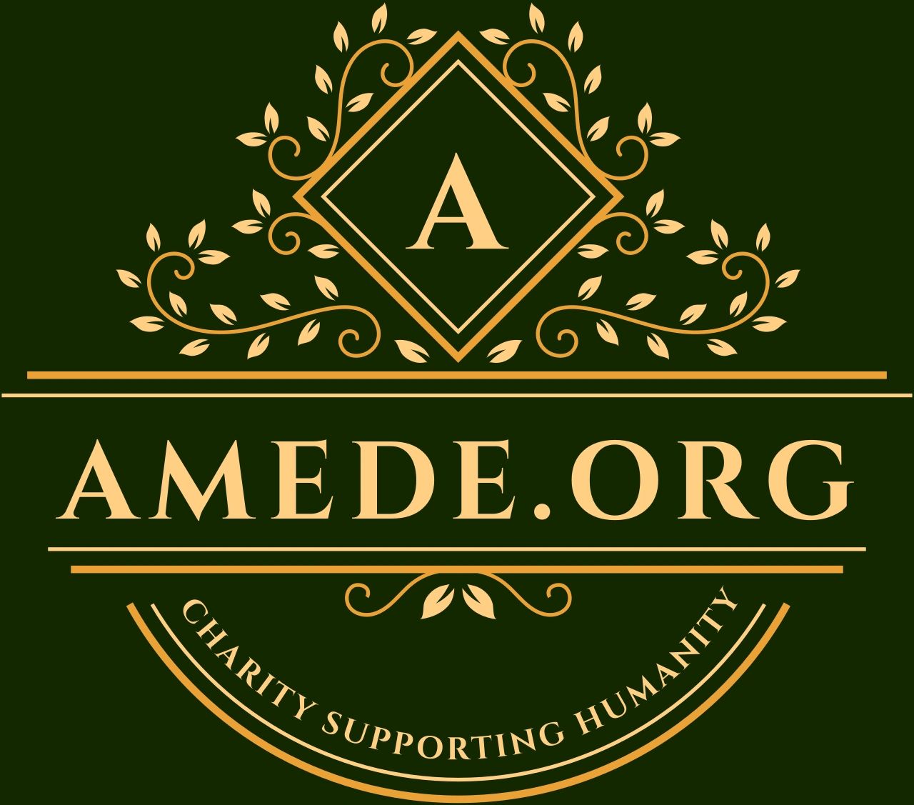 Empowering Women's Needs Through Amede.org