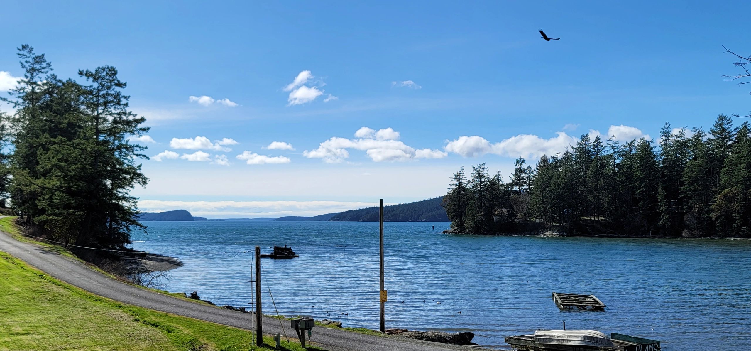 Buck Bay Shellfish Farm