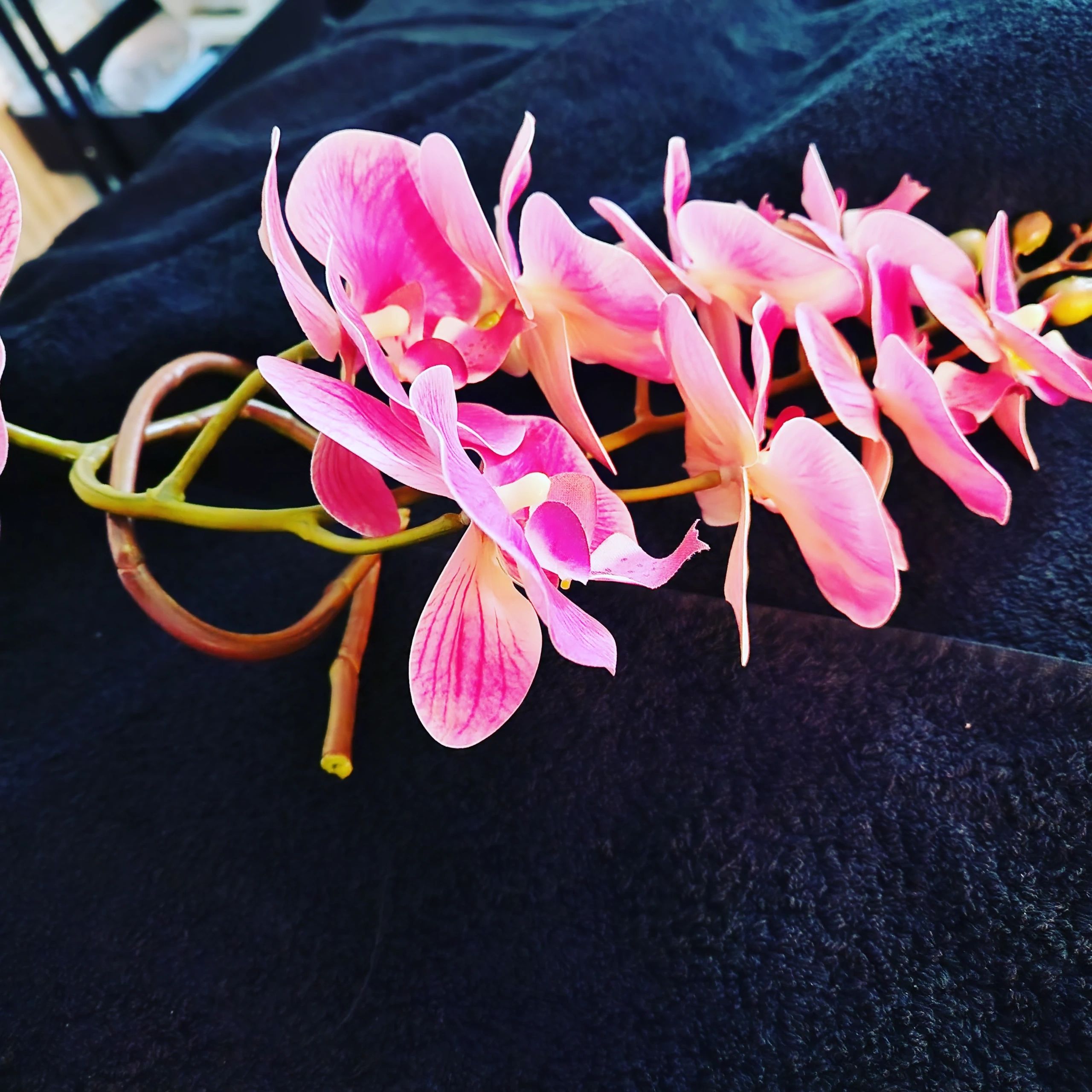 Revive Beauty Birth & Baby Hypnobirthing Edinburgh - Baby Massage ...