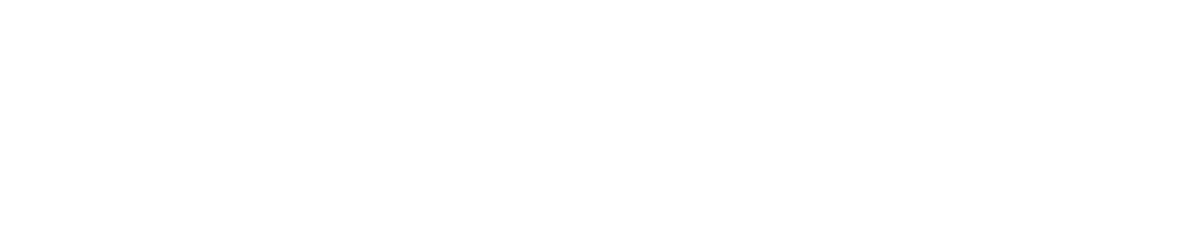 Solvnt Capital LLC