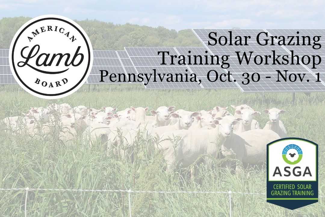 ALB's ASGA Certified Solar Grazing Workshop: Fall 2024