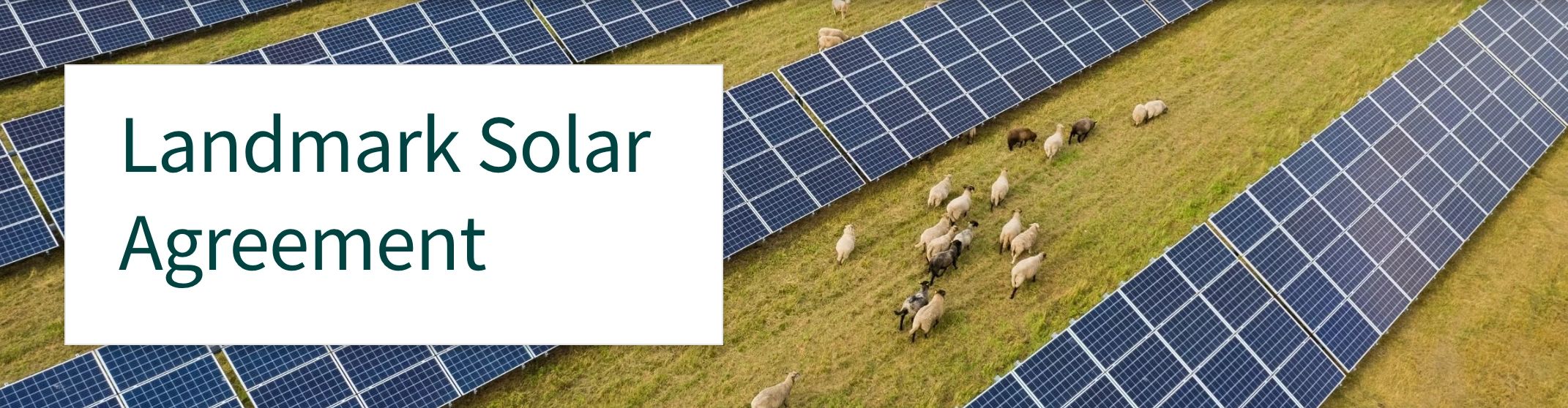Stakeholders Unite on Accord to Revolutionize US Solar Dev Stakeholders Unite on Accord to Revolutionize US Solar Dev