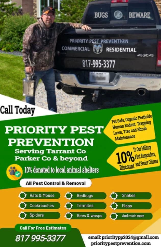 Expert Pest Control Services You Can Trust