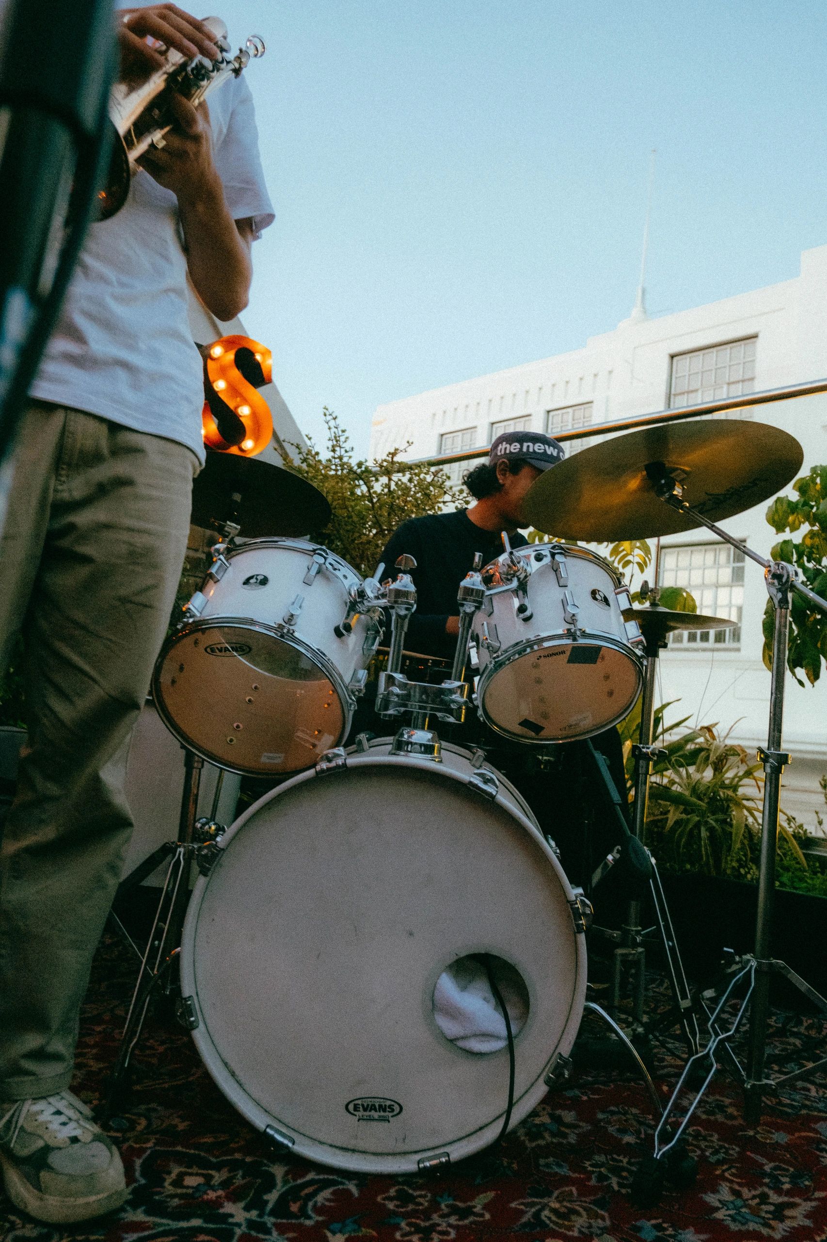 Musician - Fernando Damon