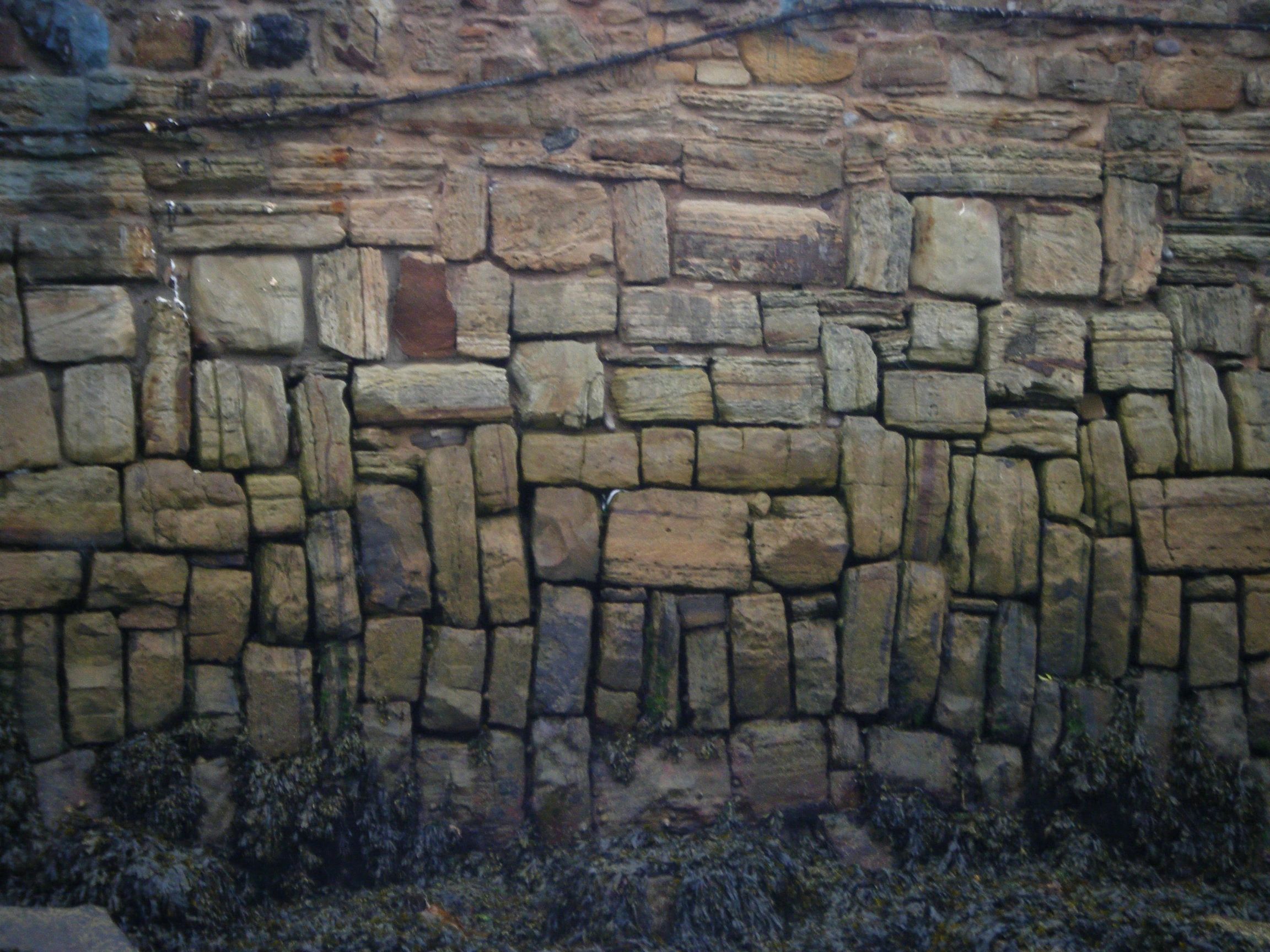 Wills and Power of Attorney Services | Julia Whytock