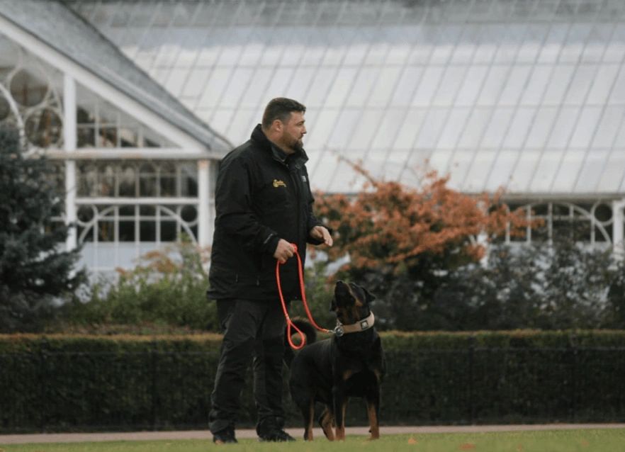 Dogma Training 4 Dogs