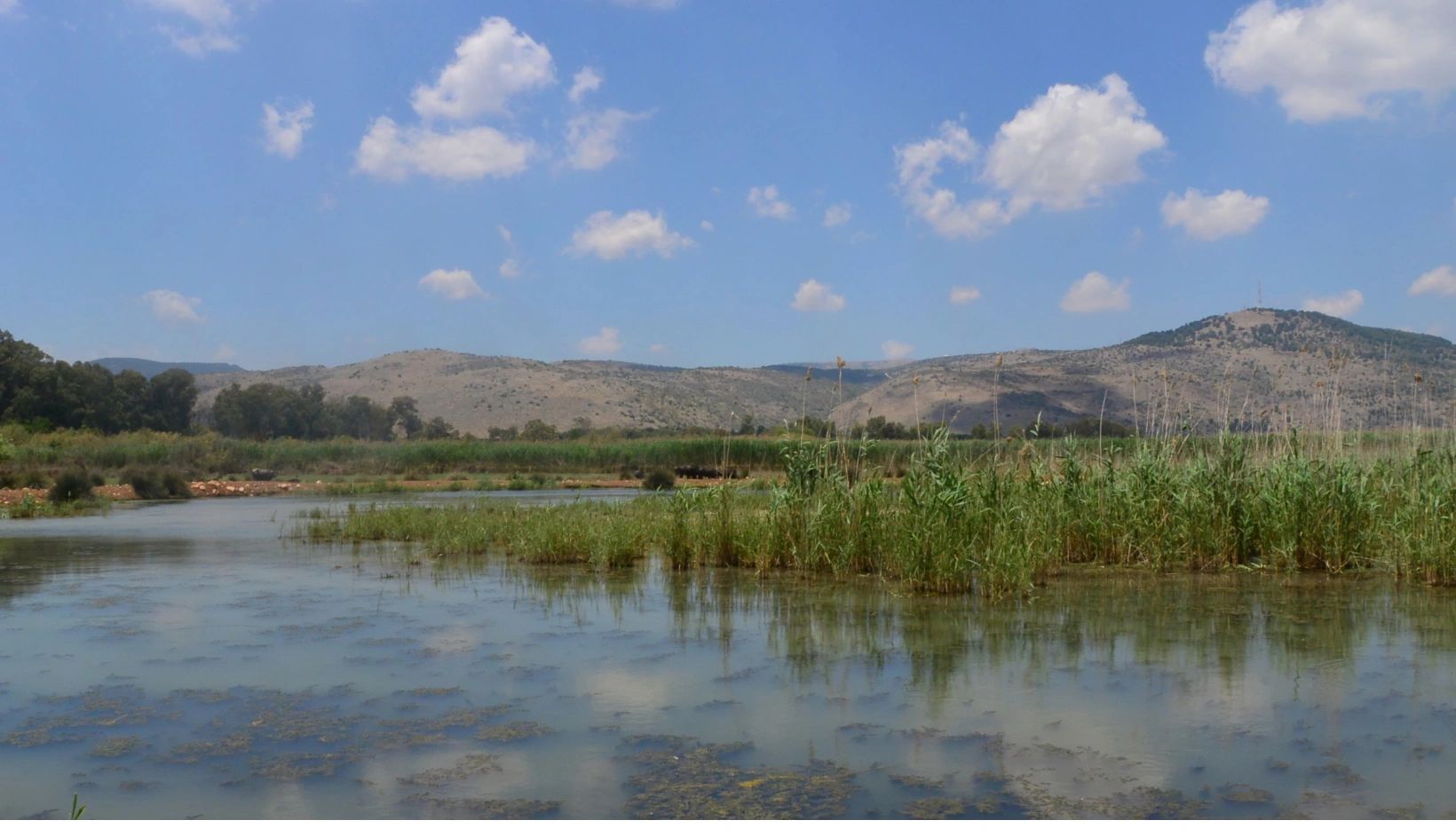 Waters of Merom (Joshua 11-12)