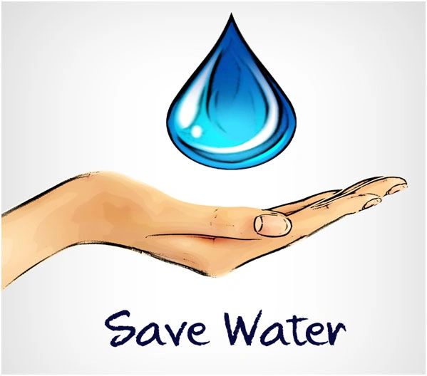 Save Water in the Yard this Summer