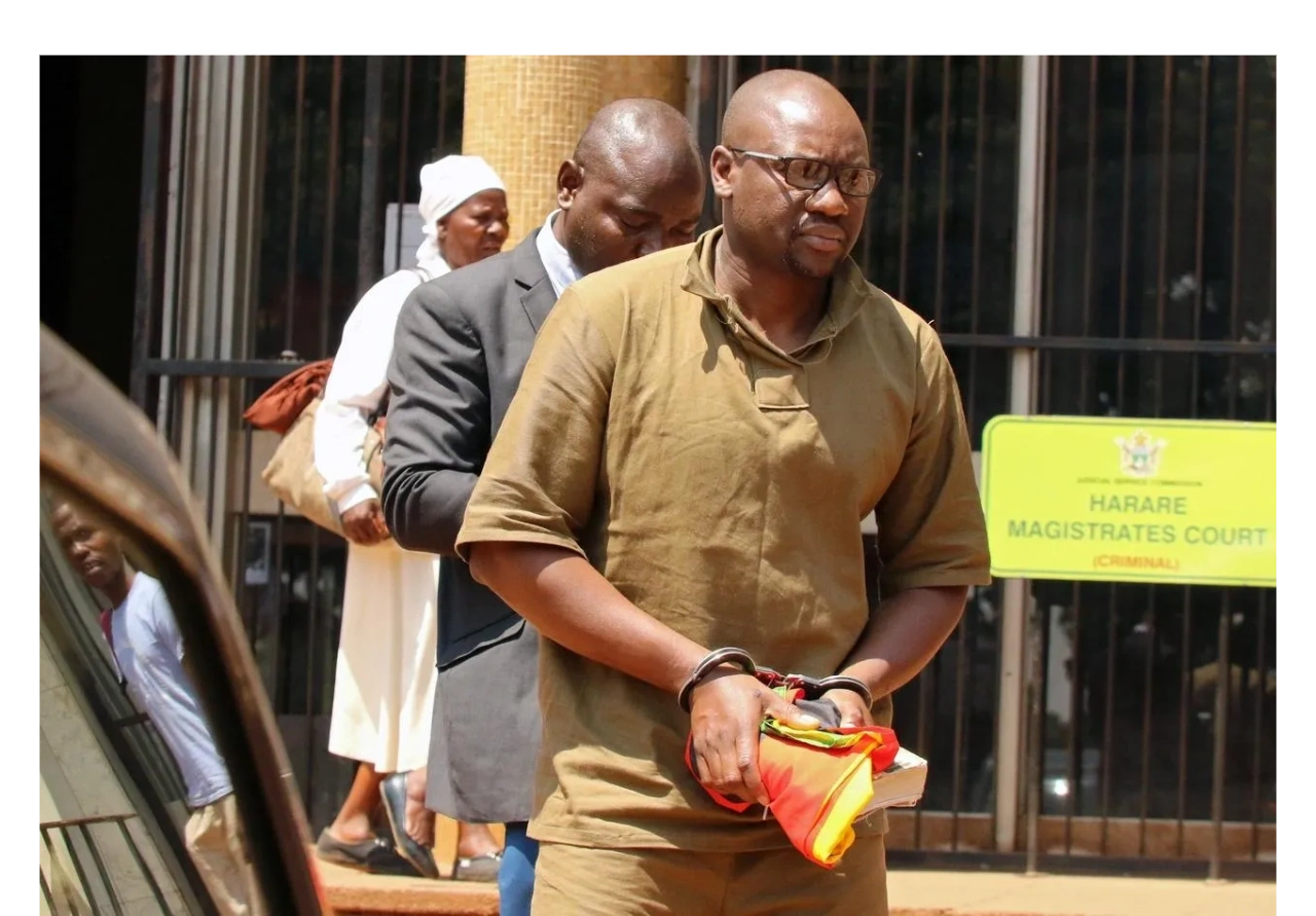 Home [evanmawarire.org]