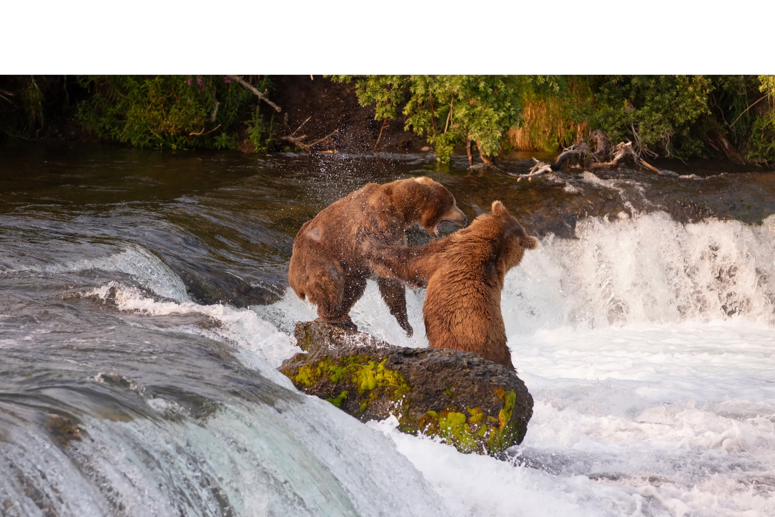 Alaska Gift Shop