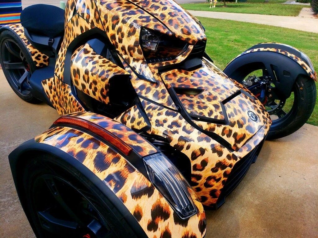 Leopard Print Full Wraps