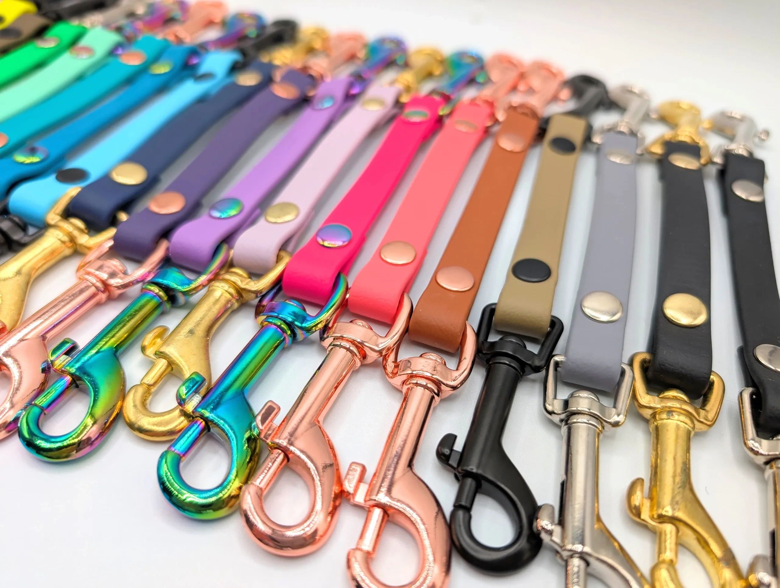 Explore Custom Biothane Products for Your Dog