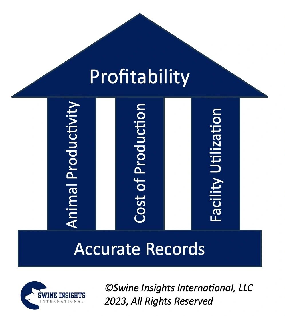 The Three Pillars of Pig Farm Profitability