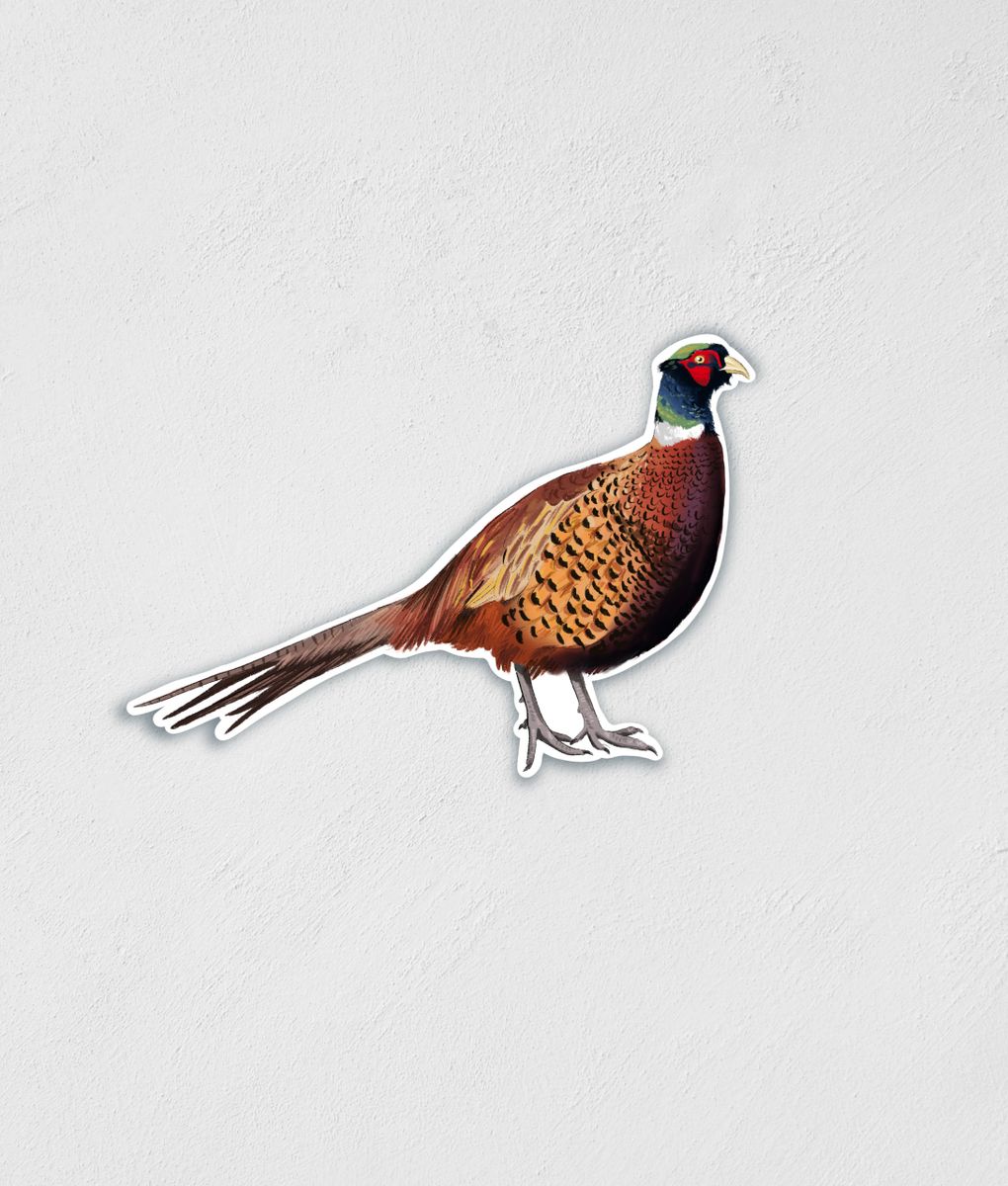 Pheasant Sticker
