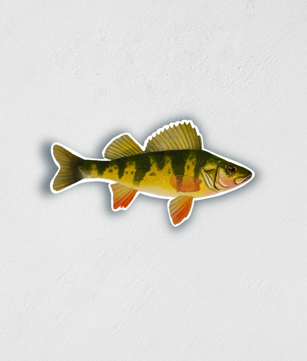 Yellow Perch Sticker