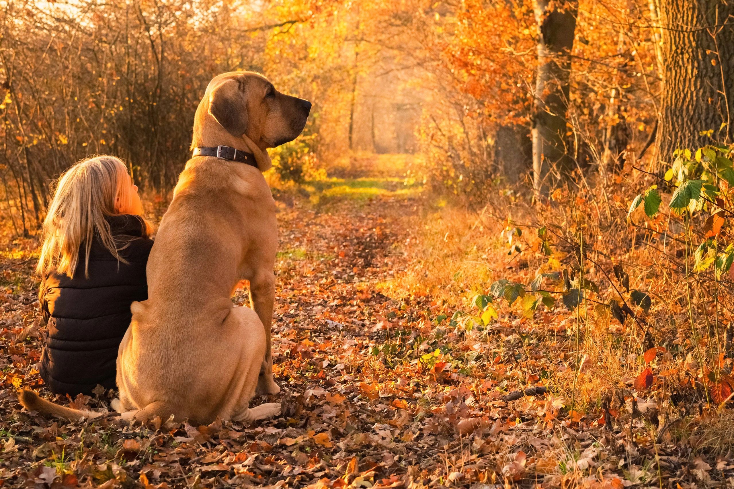 Communication Animale - Elle parle aux animaux