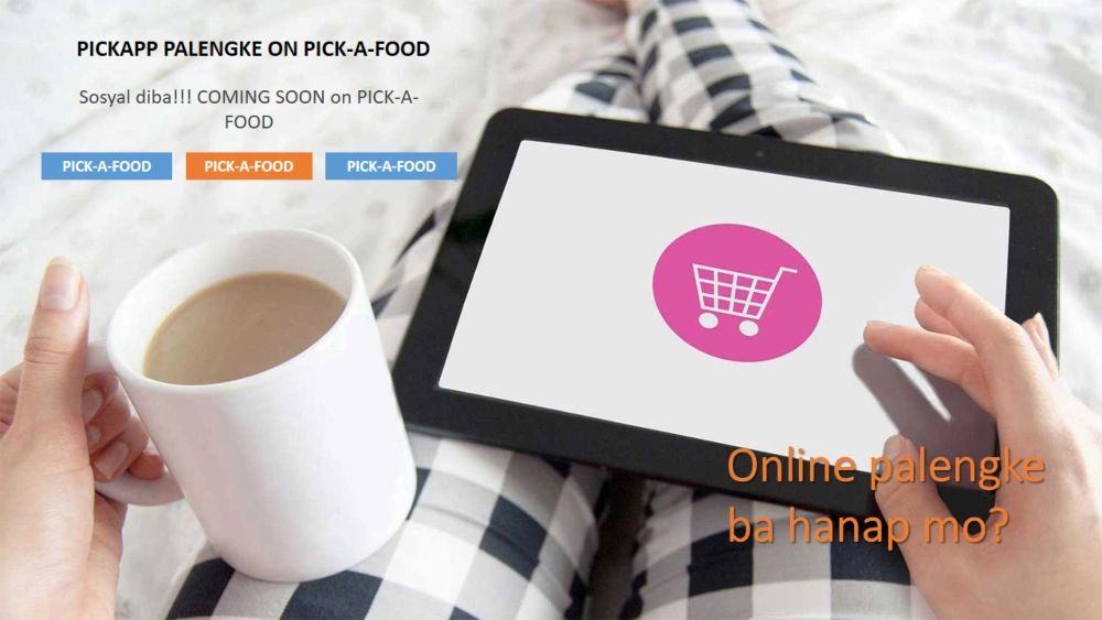 Terms and Conditions | PickApp