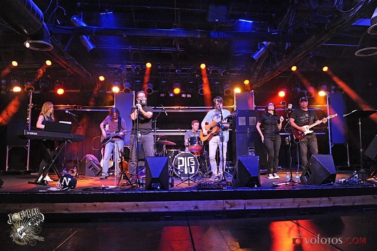 The Pigs Cover Band