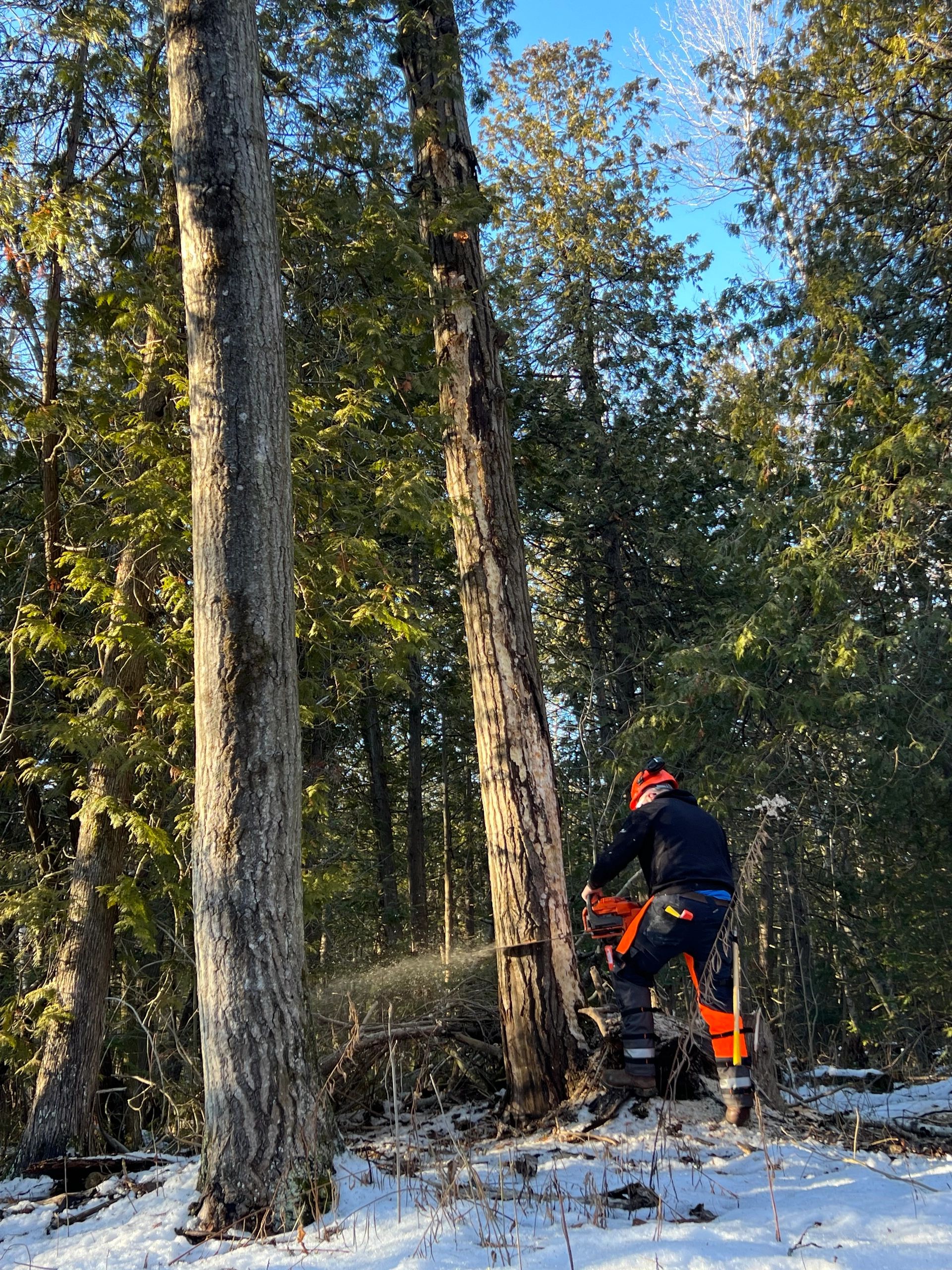 GRADES CUSTOM SERVICES