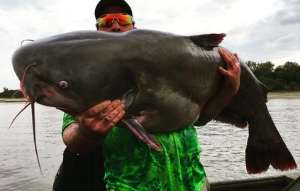St Louis Catfishing Guide | ShowMe Catfishing