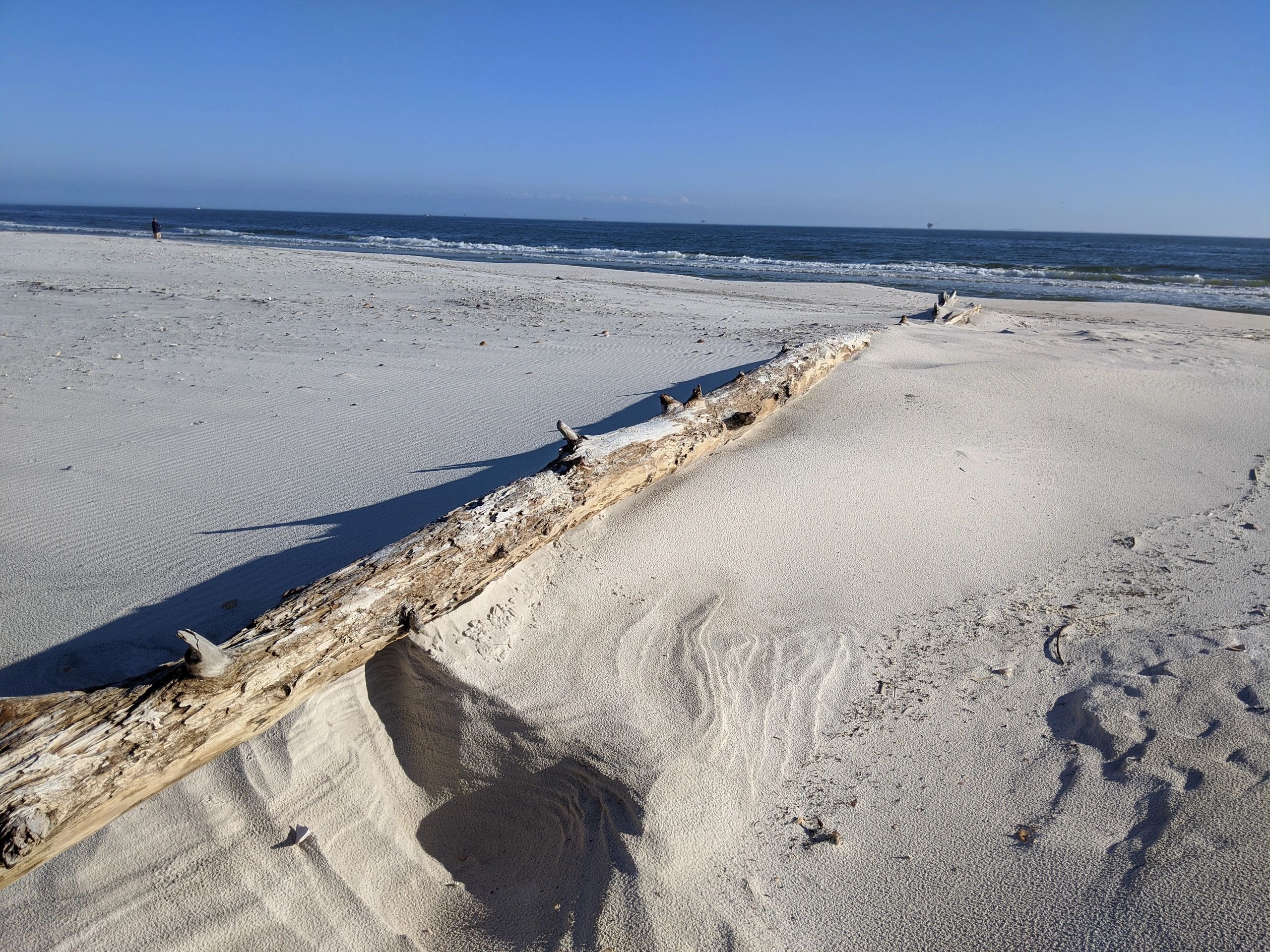 History and Politics - Trudge to Truth