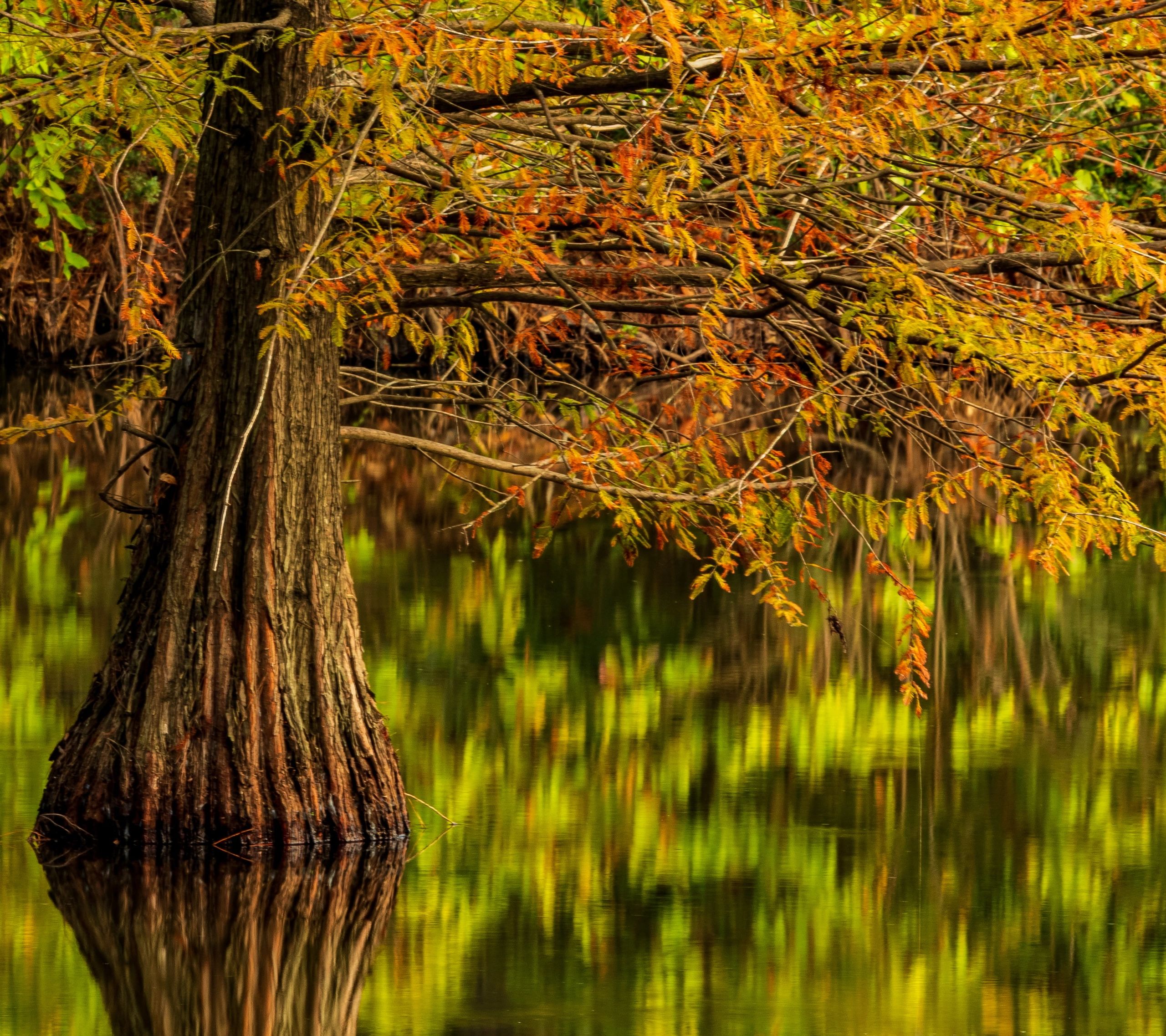 Cypress Risk Solutions