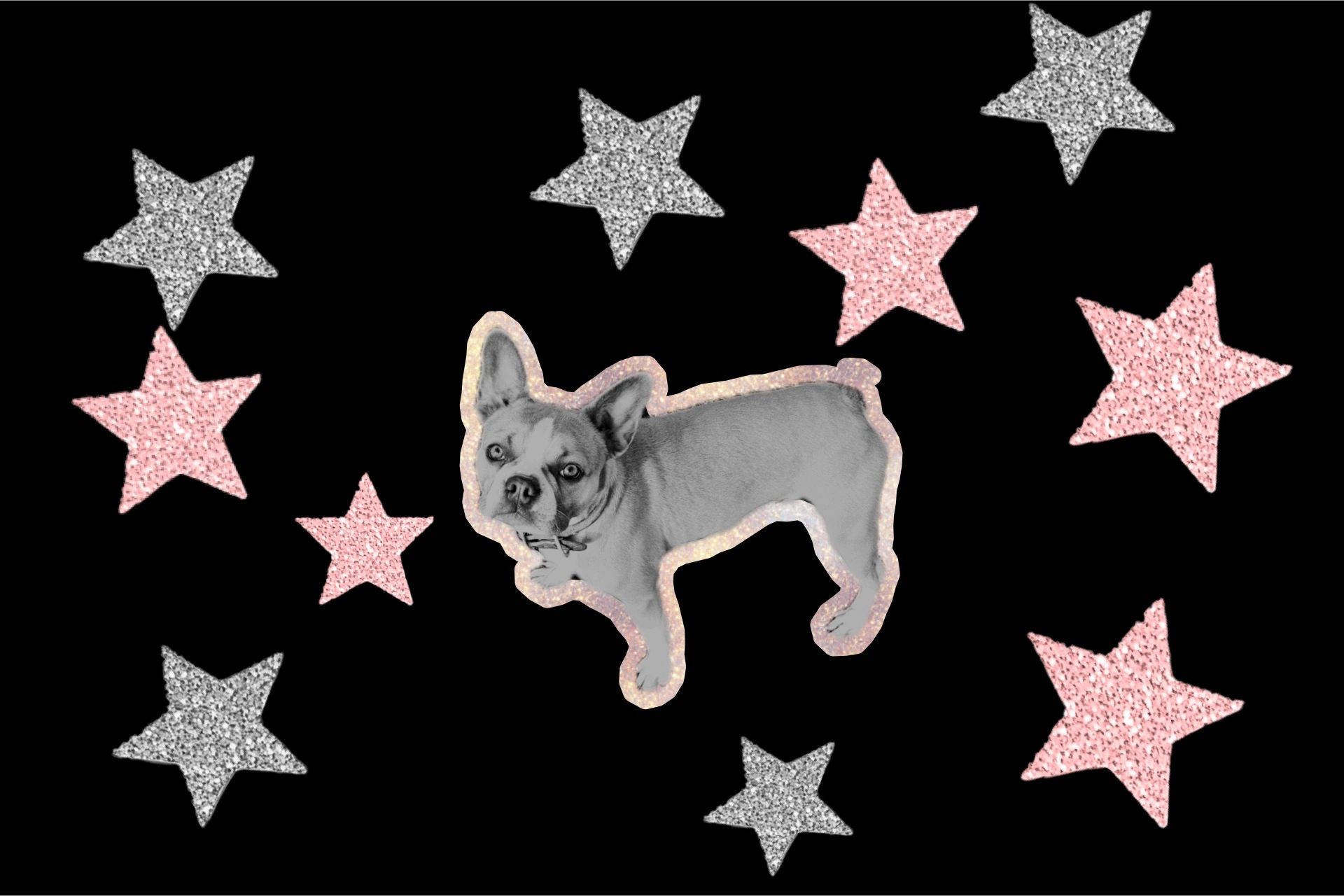 Wentzel Family Frenchtons