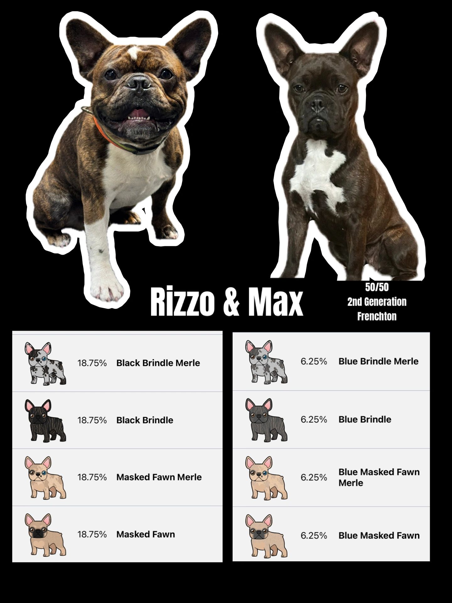 Wentzel Family Frenchtons