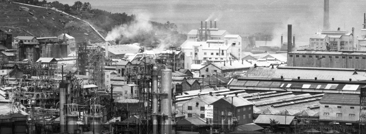 Telling the tragic story of mercury poisoning in Japan